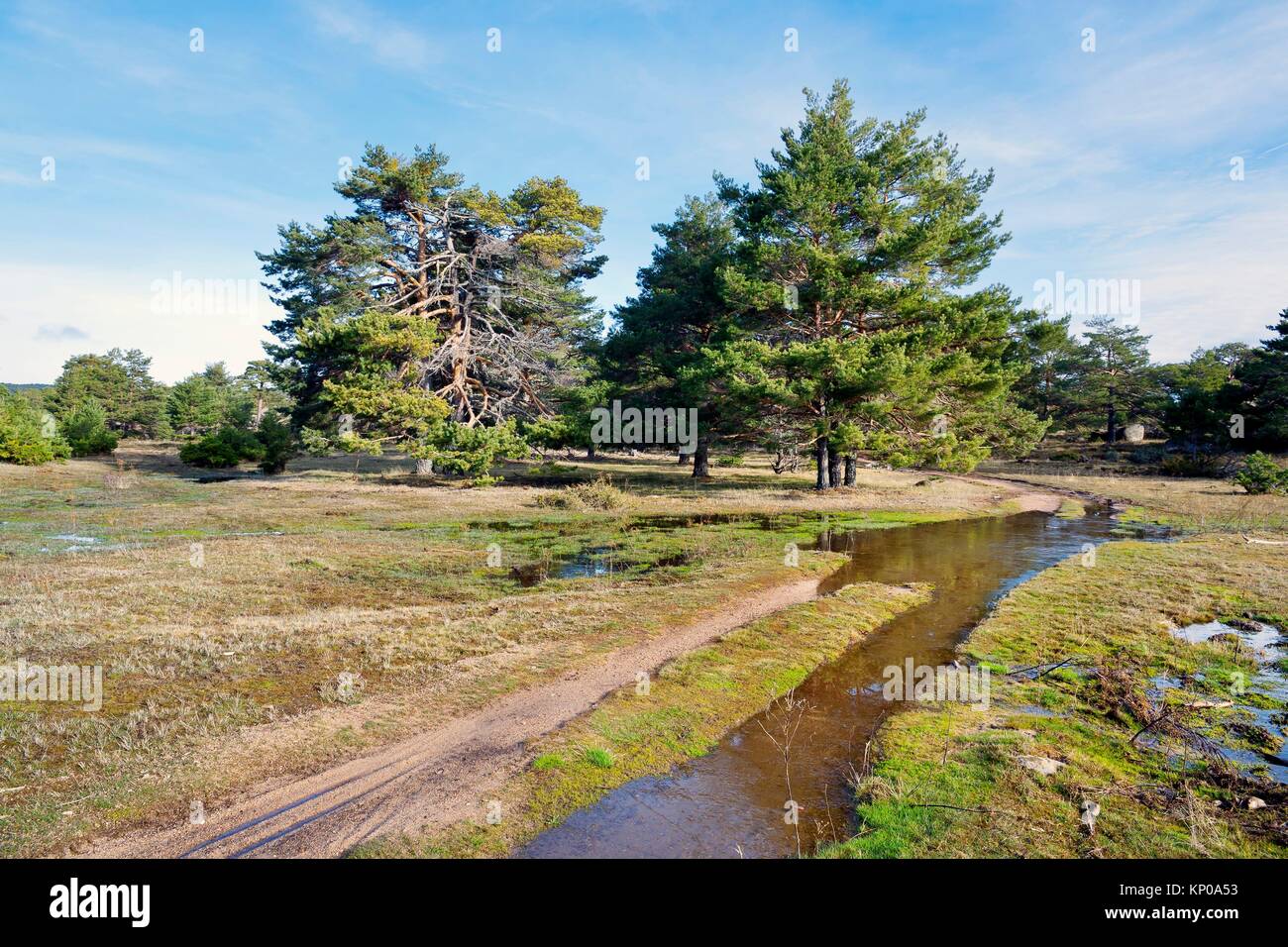 Mauntain slope hi-res stock photography and images - Alamy