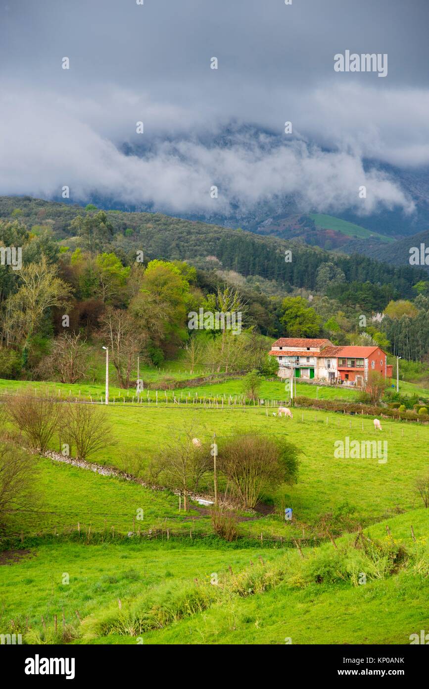Entorno de casa de campo hi-res stock photography and images - Alamy
