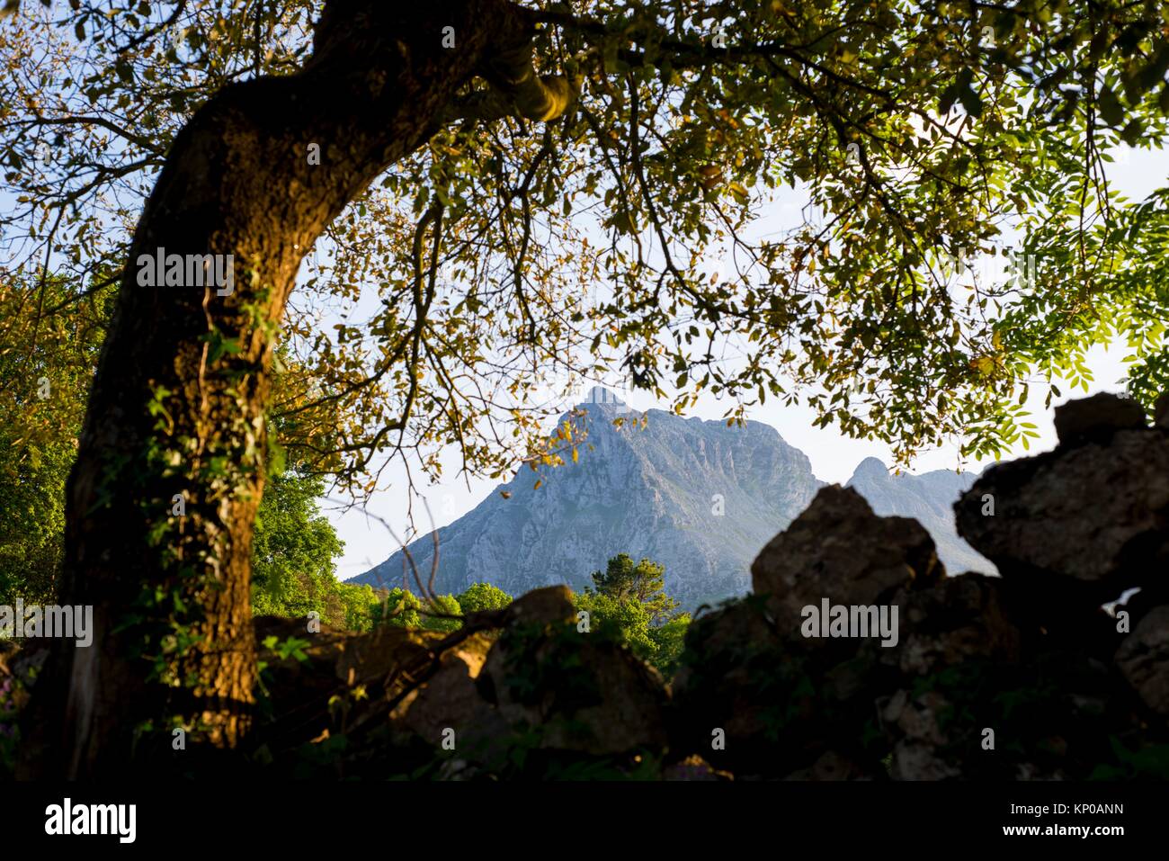 Entorno de campo rural hi-res stock photography and images - Alamy