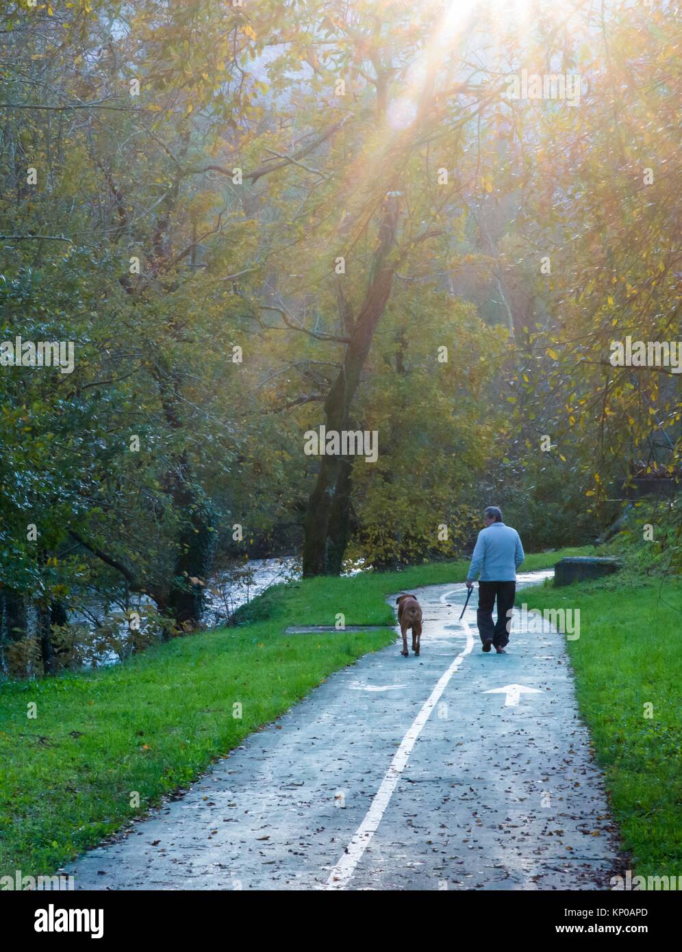 Entorno de campo rural hi-res stock photography and images - Alamy