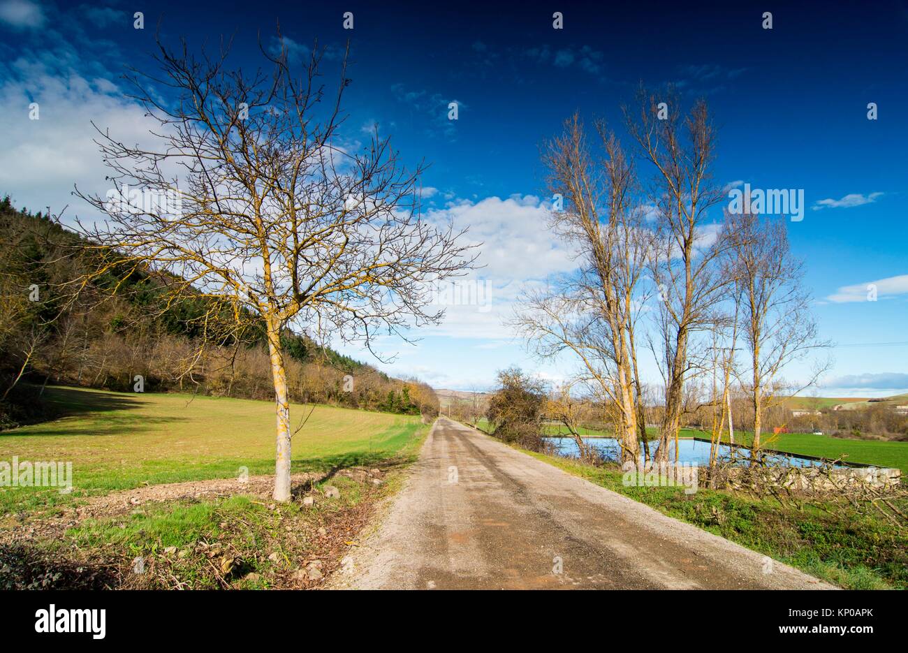 Entorno rural hi-res stock photography and images - Alamy