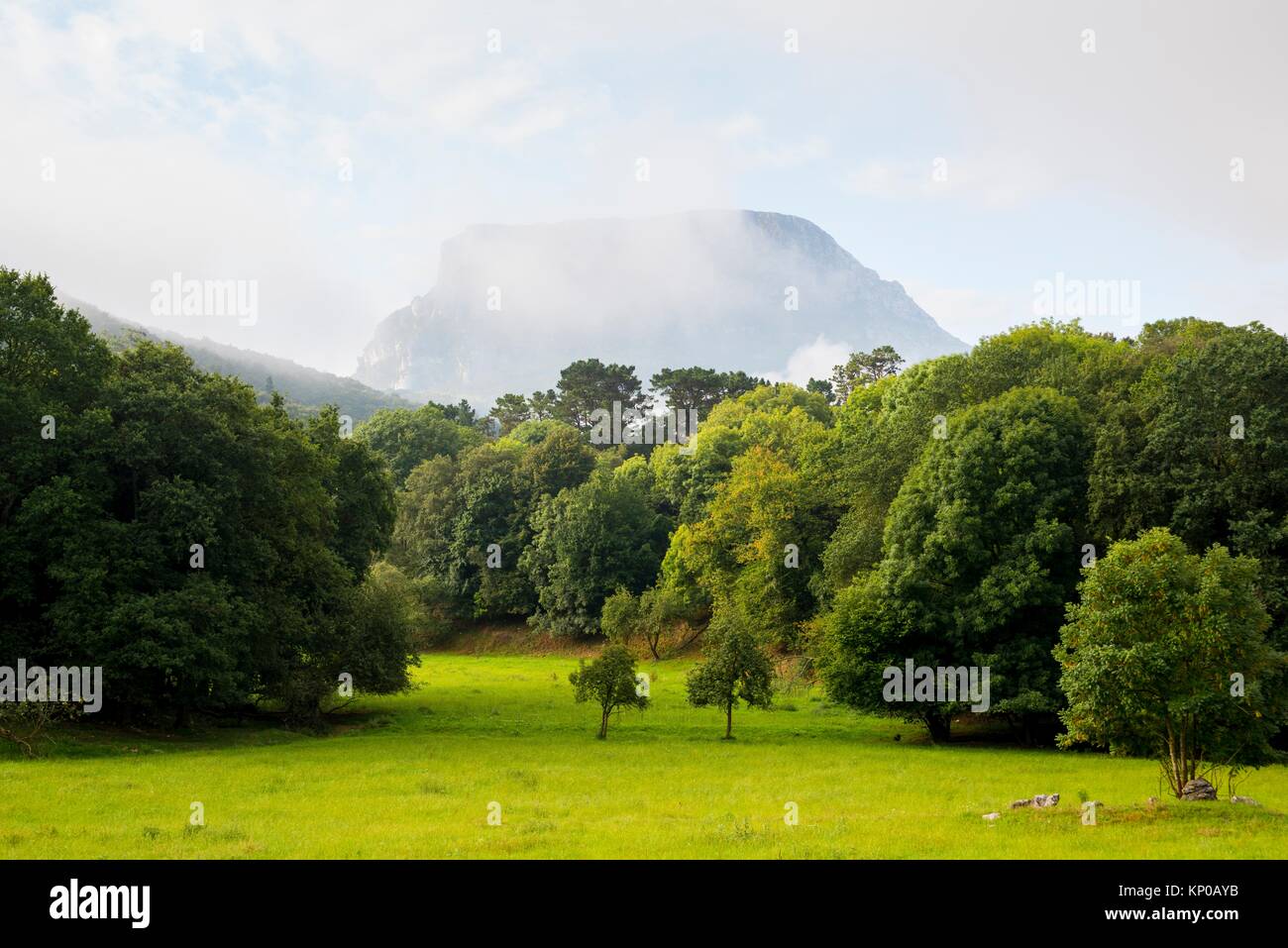 La mortera hi-res stock photography and images - Alamy