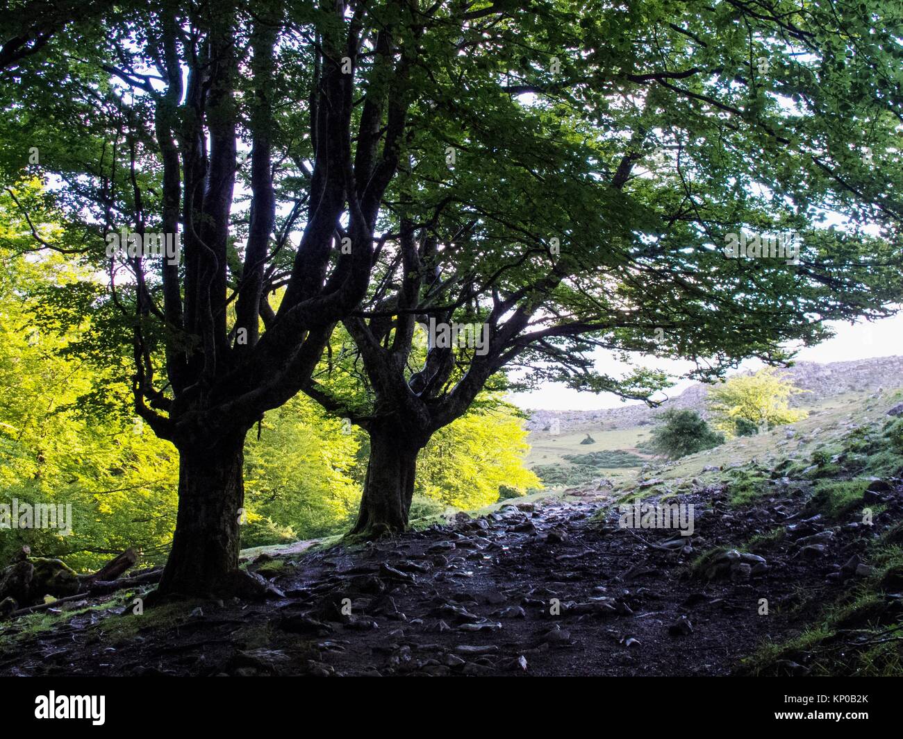 Monte Gorbea Natural Park. Biscay. Basque Country. Spain. Europe Stock ...
