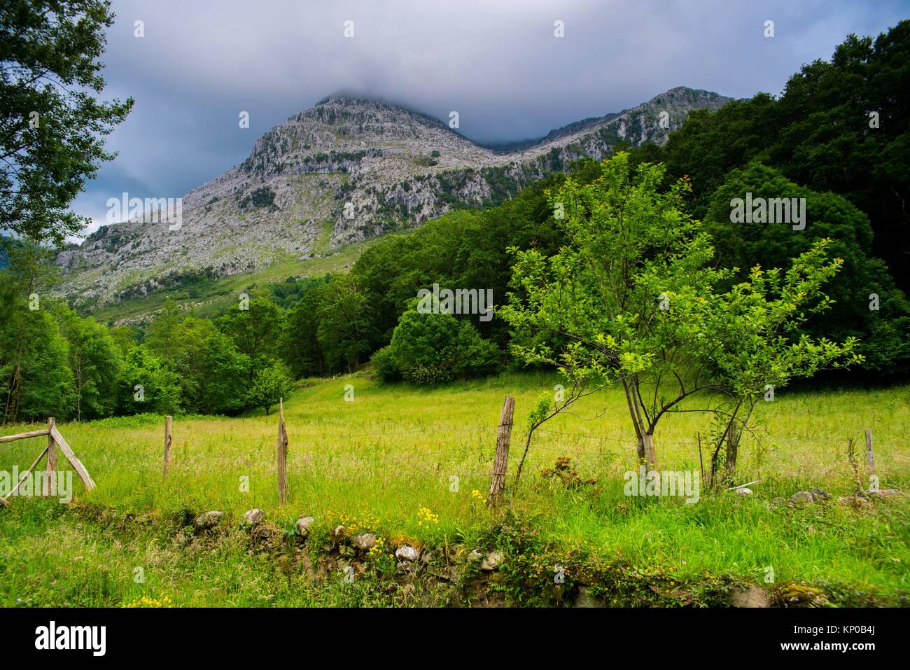 Parque natural de los collados del asón hi-res stock photography and images - Alamy