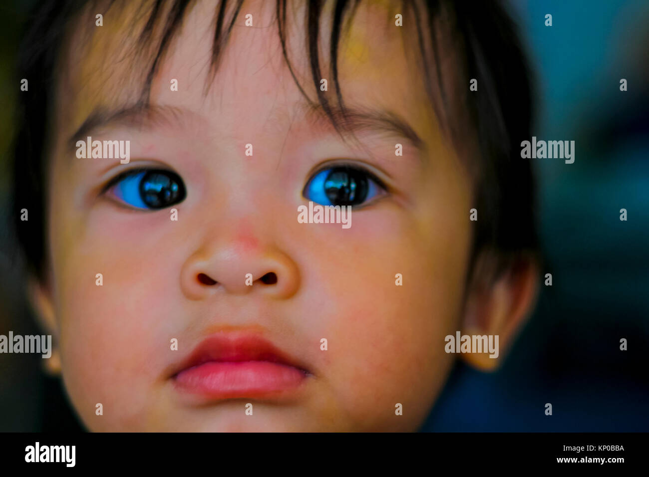 portraits of young kid boy close up Stock Photo - Alamy
