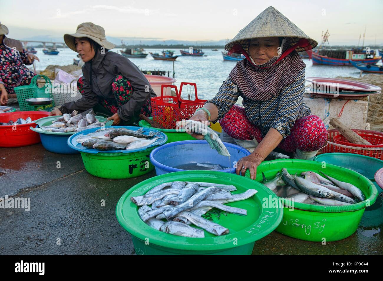 Hoi fish market vietnam hi-res stock photography and images - Alamy