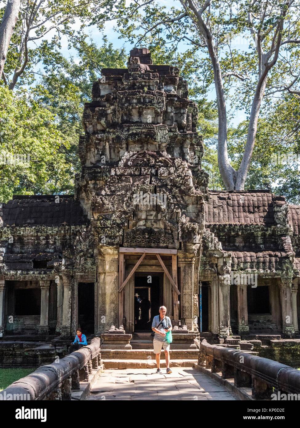 Angkor Temples Complex - tree growing out of the ruins of the the Ta ...