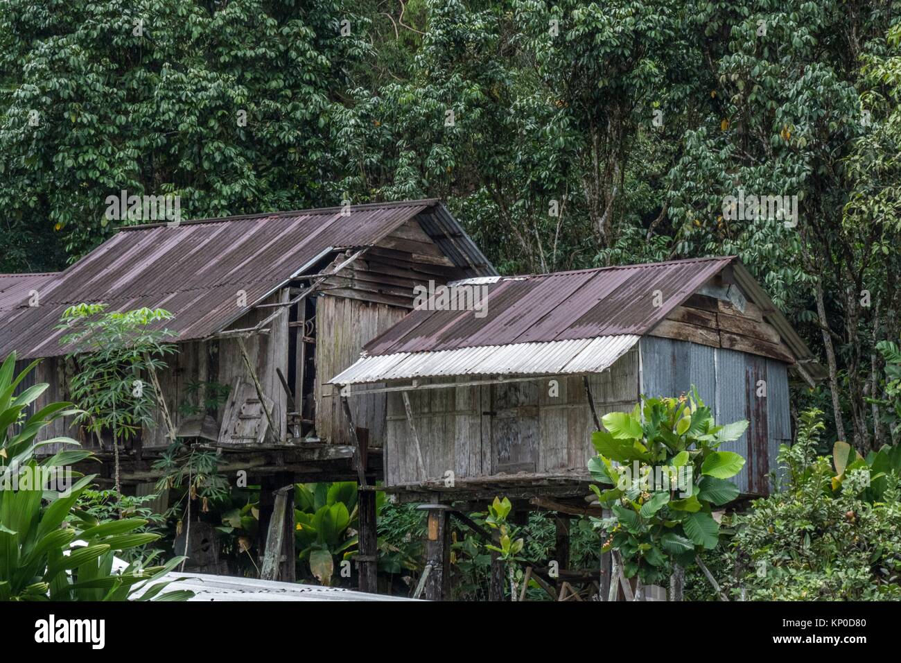 Bidayuh hi-res stock photography and images - Alamy