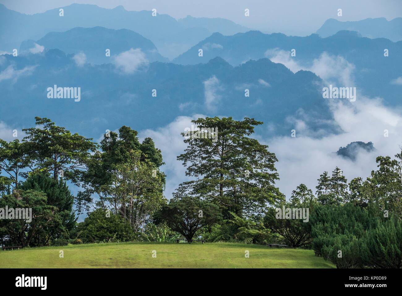 The Panoramic View Of Borneo Highlands, Sarawak, Malaysia Stock Photo ...