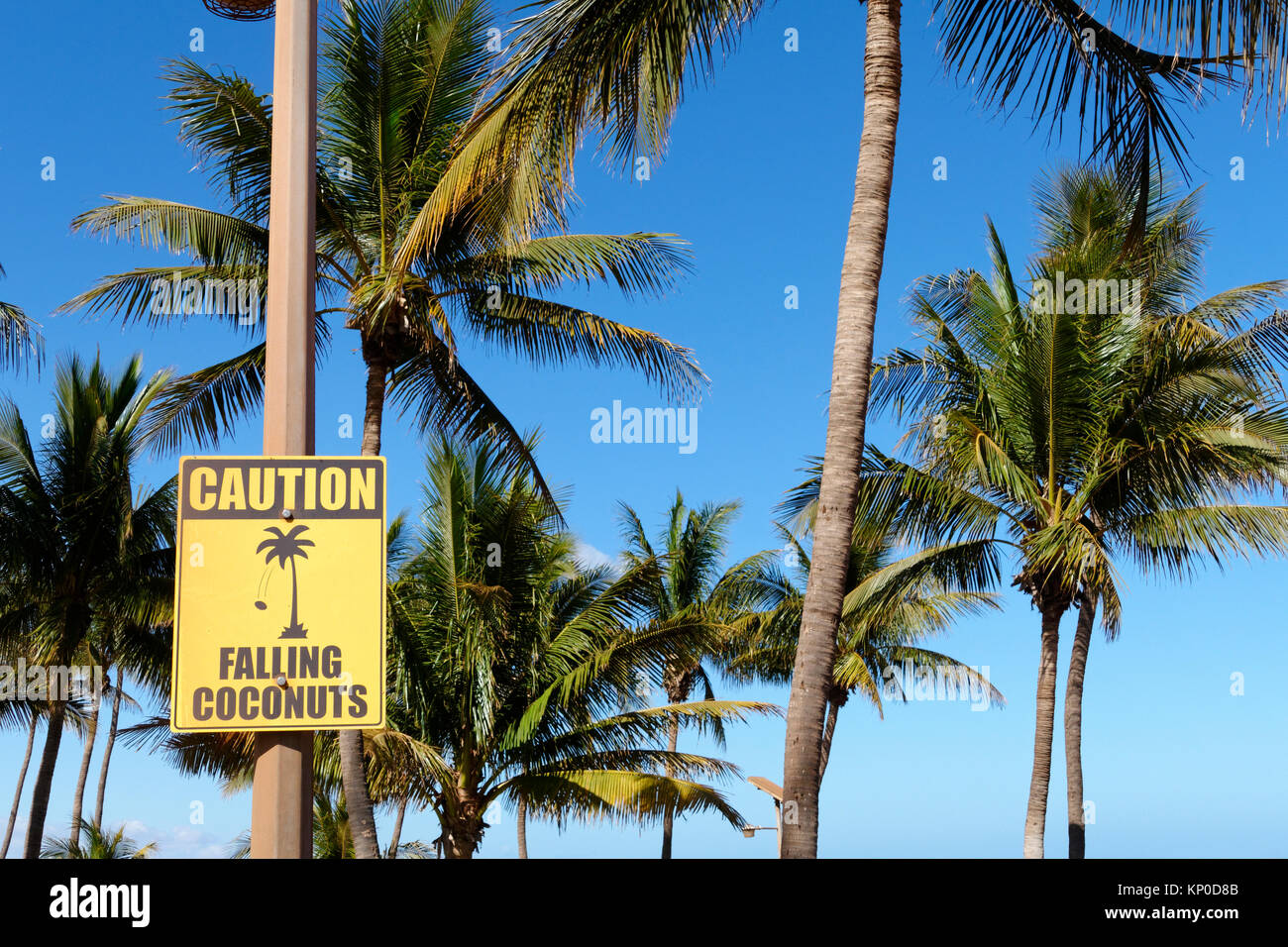 Falling coconuts sign hi-res stock photography and images - Alamy