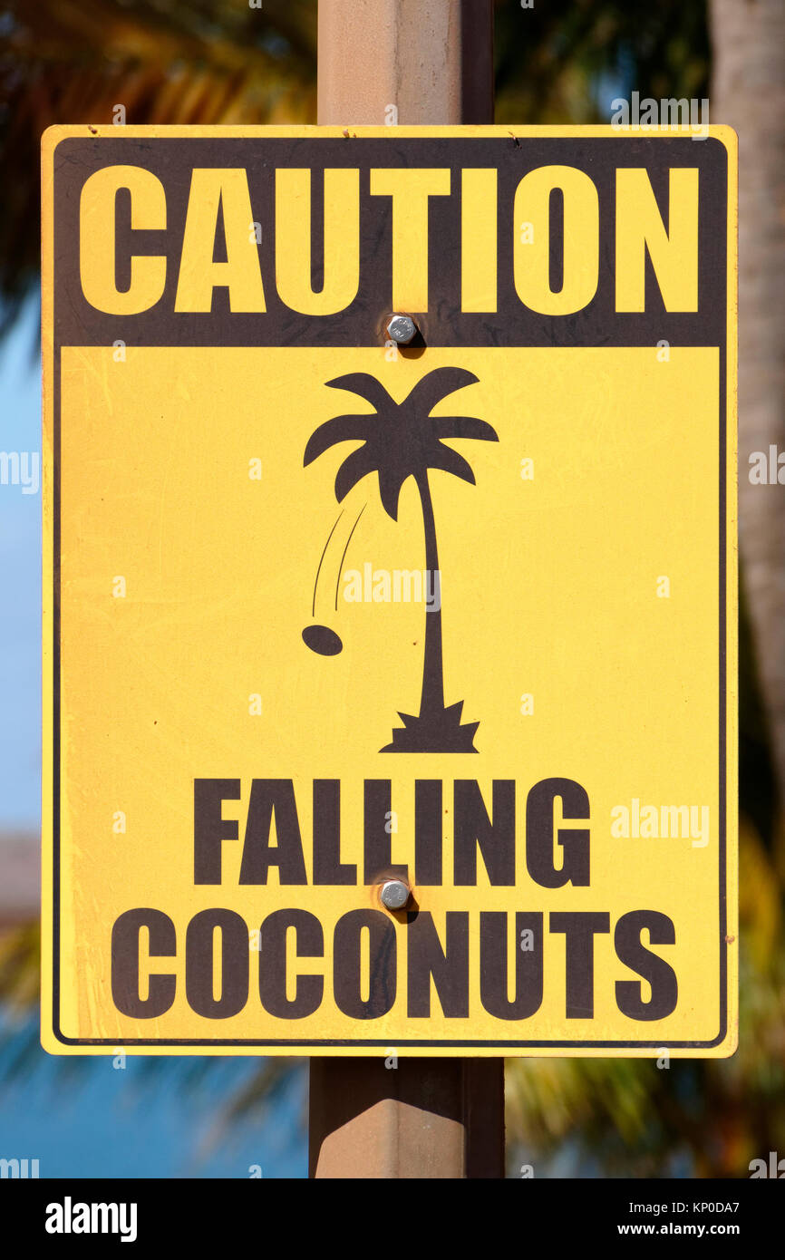 Falling coconuts hi-res stock photography and images - Alamy