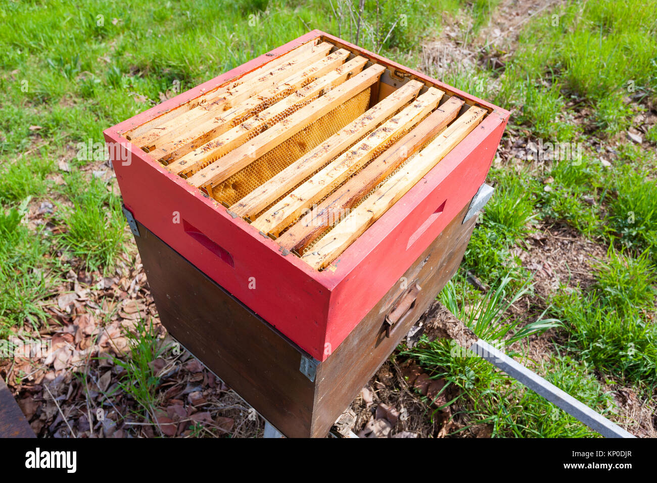 Open hive detail. Beekeeping, agriculture, rural life Stock Photo - Alamy