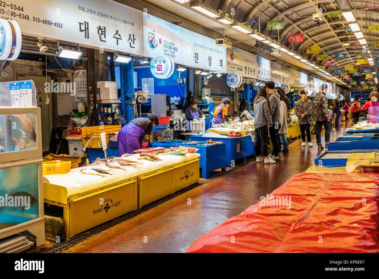 Fish market in Jeju Dongmun market, Korea Stock Photo - Alamy