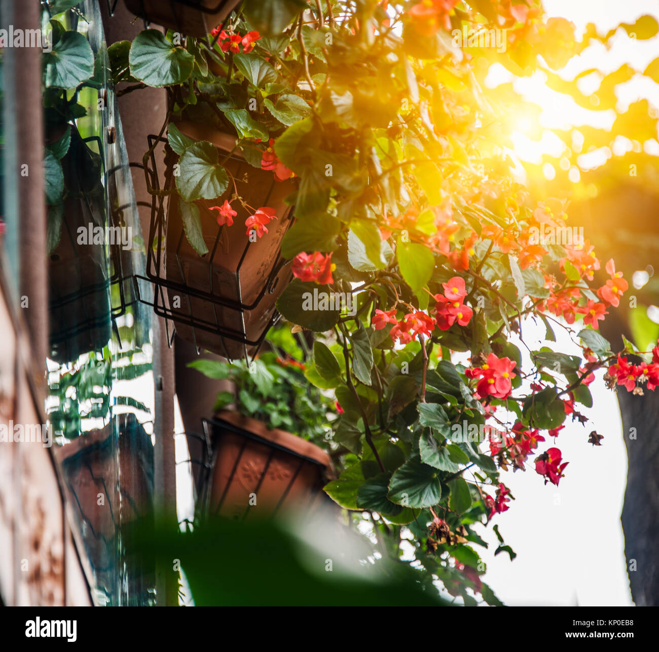 Chinese traditional architecture,Chinese elements,detail shot Stock ...