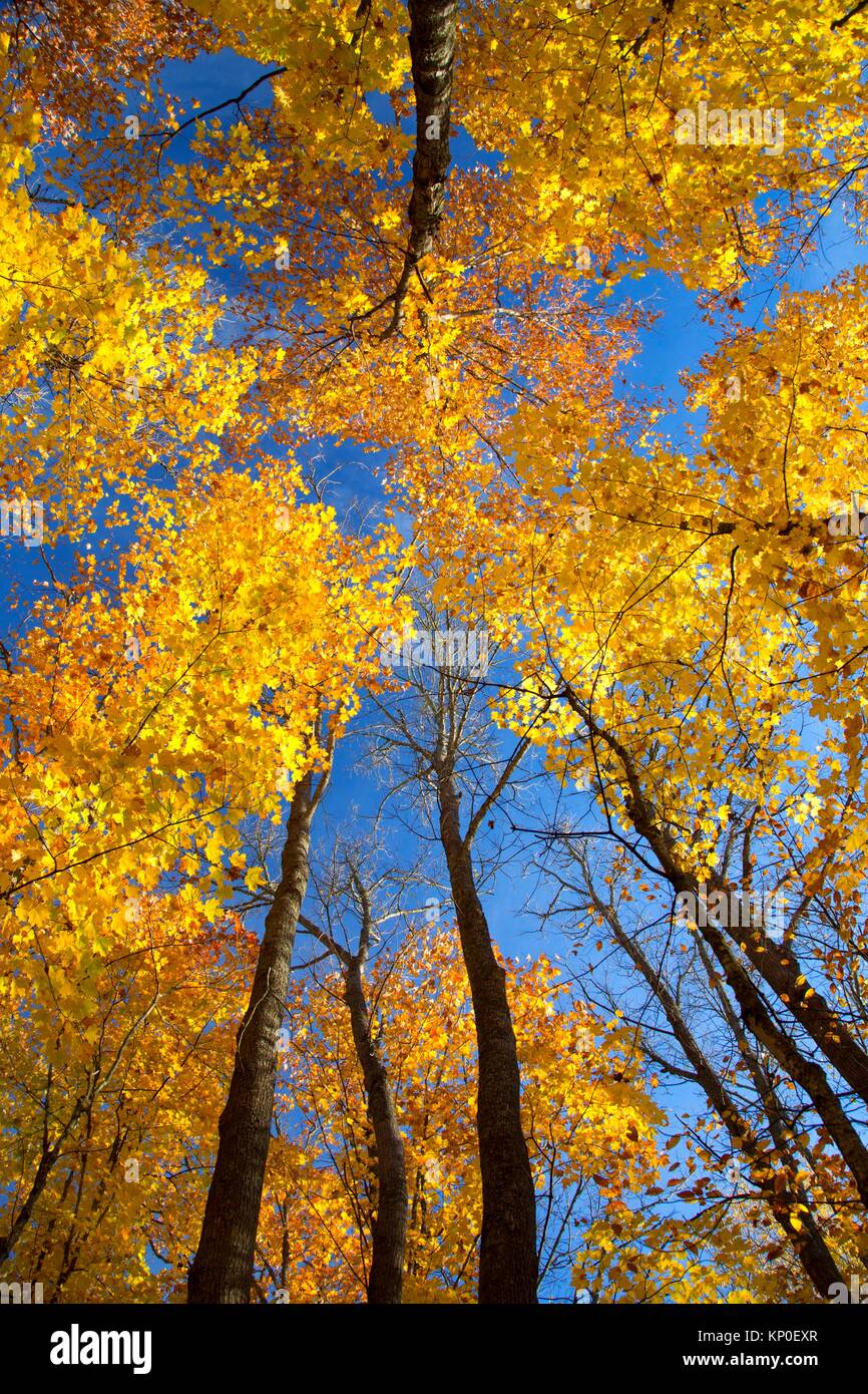 Wisconsin nicolet trail hi-res stock photography and images - Alamy