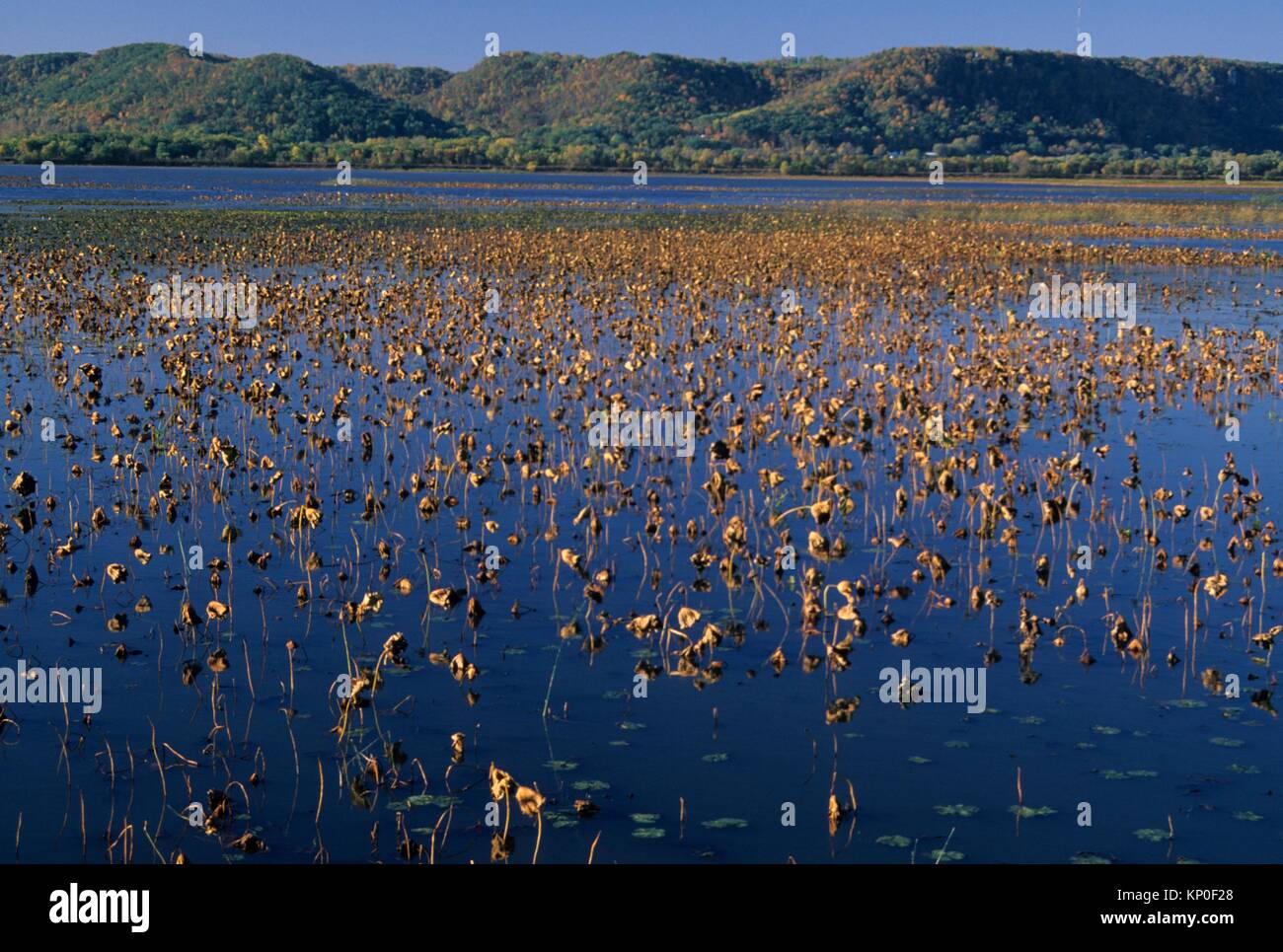 Wildlife observation deck hi-res stock photography and images - Alamy