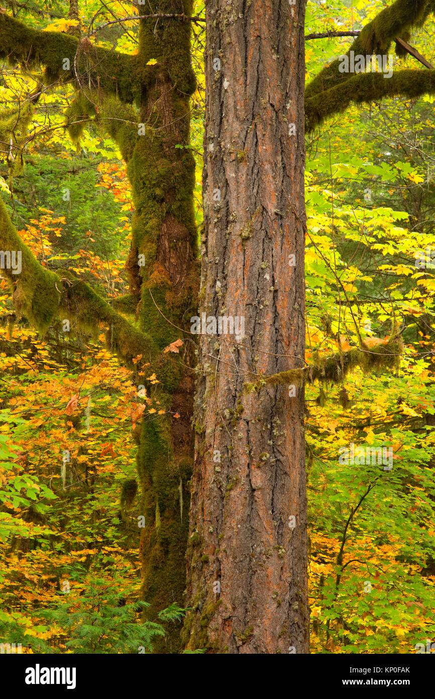 Paradise range hi-res stock photography and images - Alamy