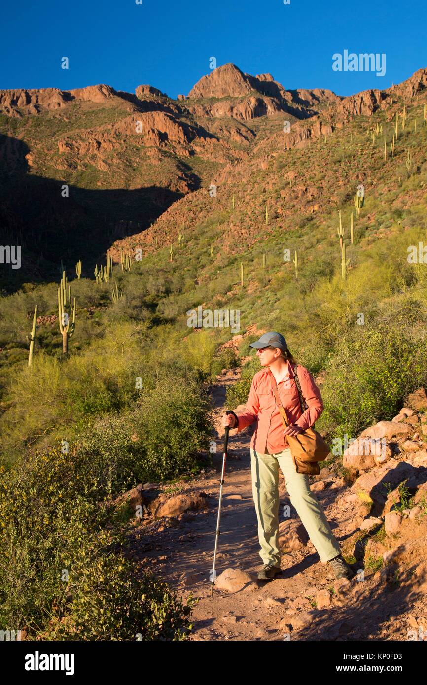 Superstition wilderness hi-res stock photography and images - Alamy