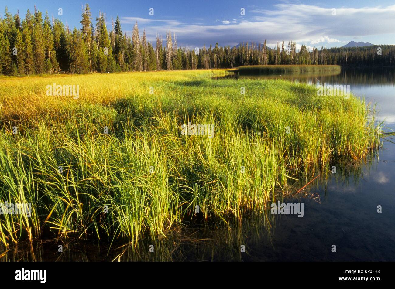 Little lava lake deschutes hi-res stock photography and images - Alamy