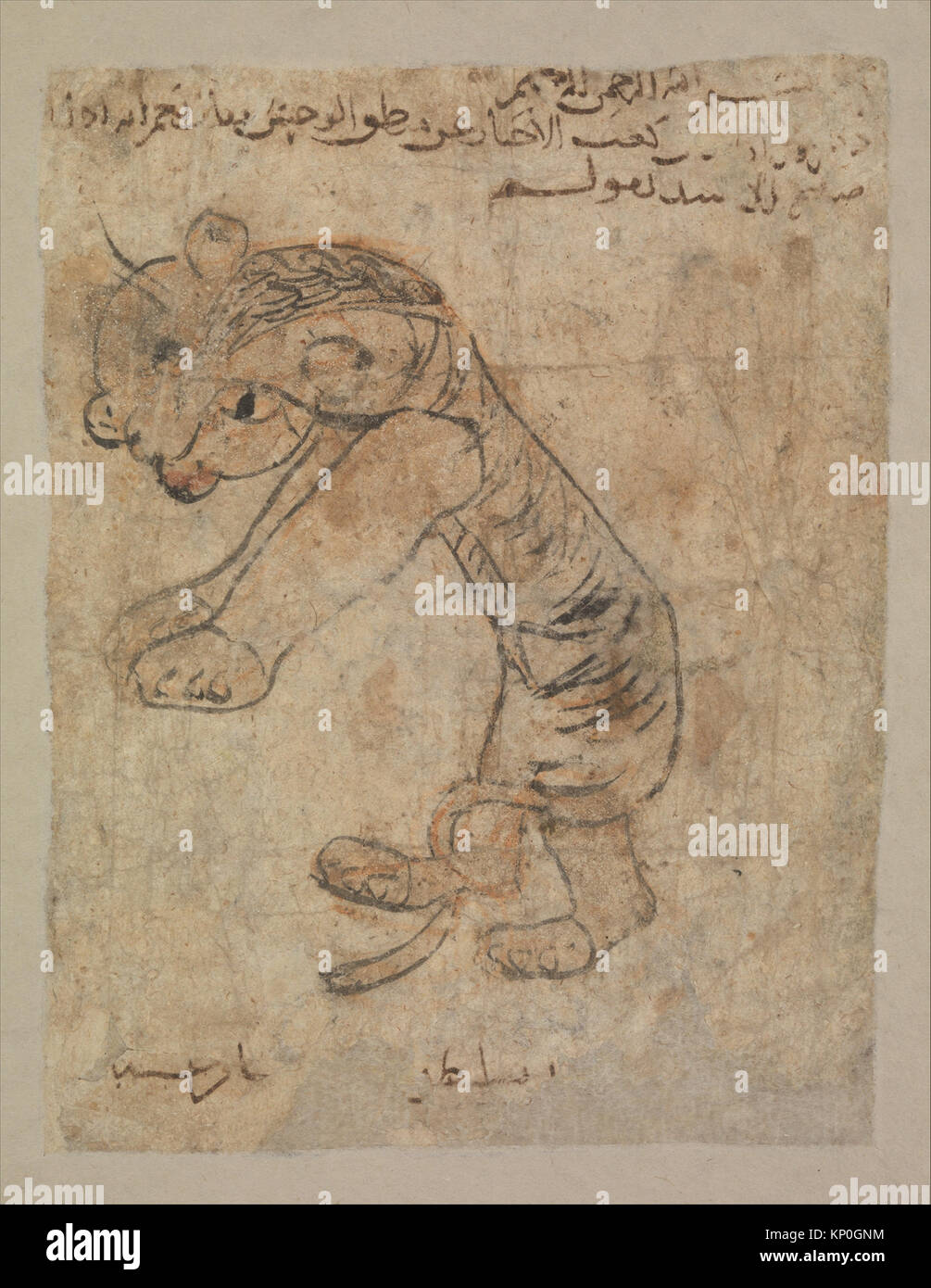 A folio from Mantiq al-wahsh depicts a hare, reflecting early Islamic ...
