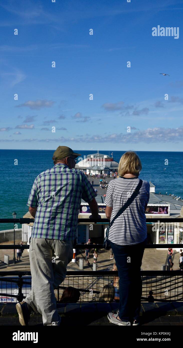 A couple looking out over the sea and Brighton Pier on a sunny ...