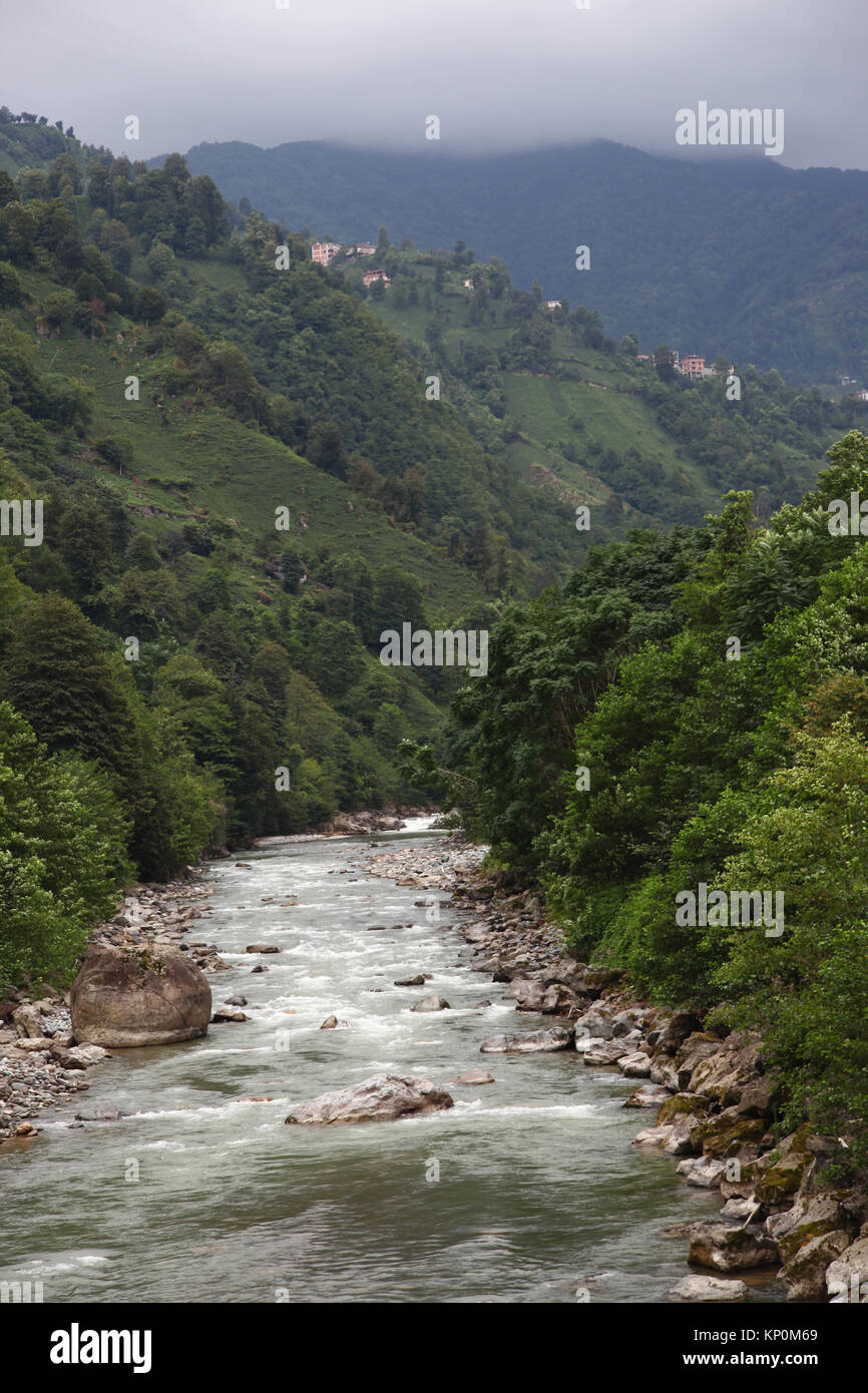 Rize High Resolution Stock Photography and Images - Alamy