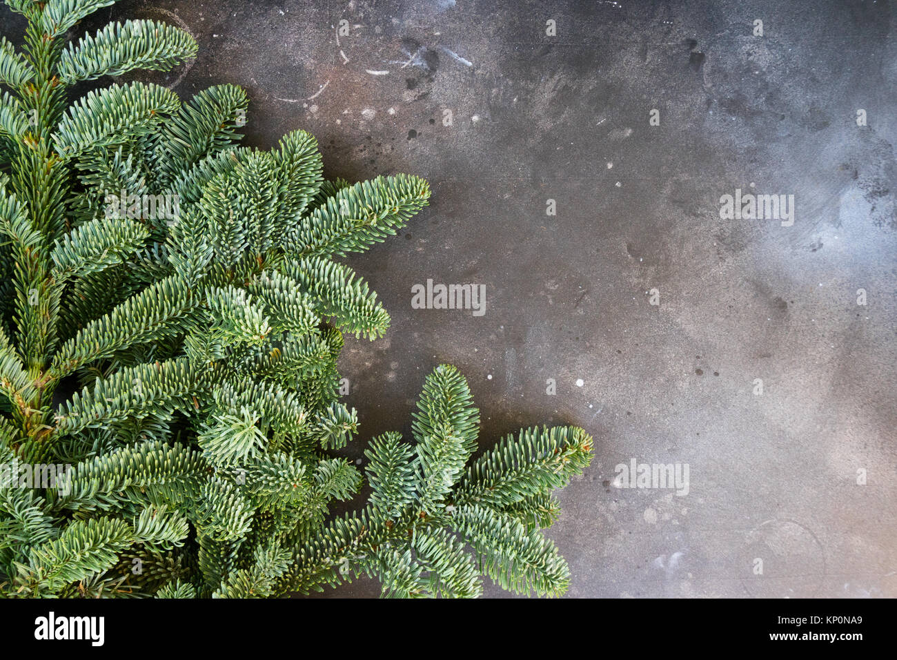 Christmas background with evergreen tree Stock Photo - Alamy