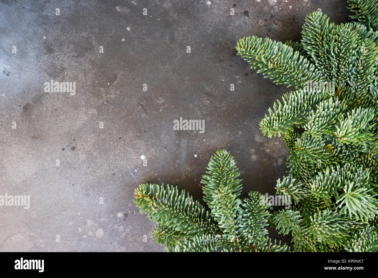 Christmas background with evergreen tree Stock Photo - Alamy