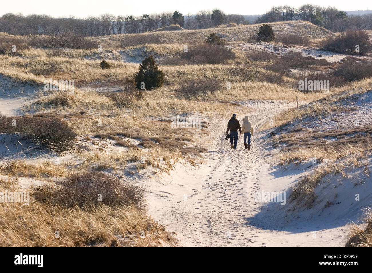 A couple walks through the dunes at Sandy Neck Beach in Barnstable, MA ...