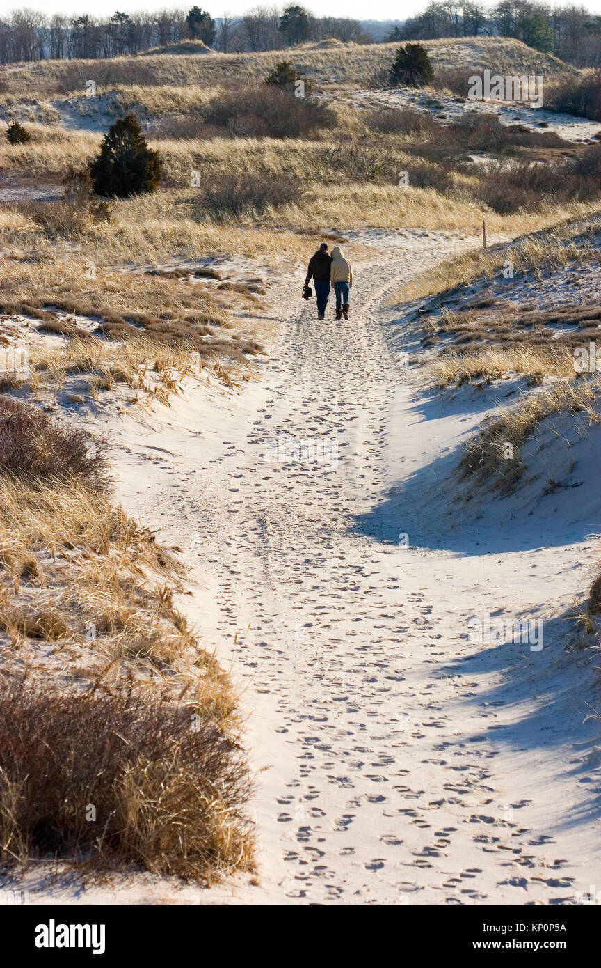 A couple walks through the dunes at Sandy Neck Beach in Barnstable, MA ...