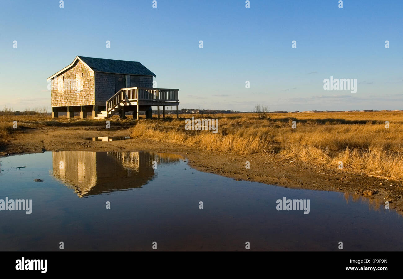 Marsh winter hi-res stock photography and images - Alamy