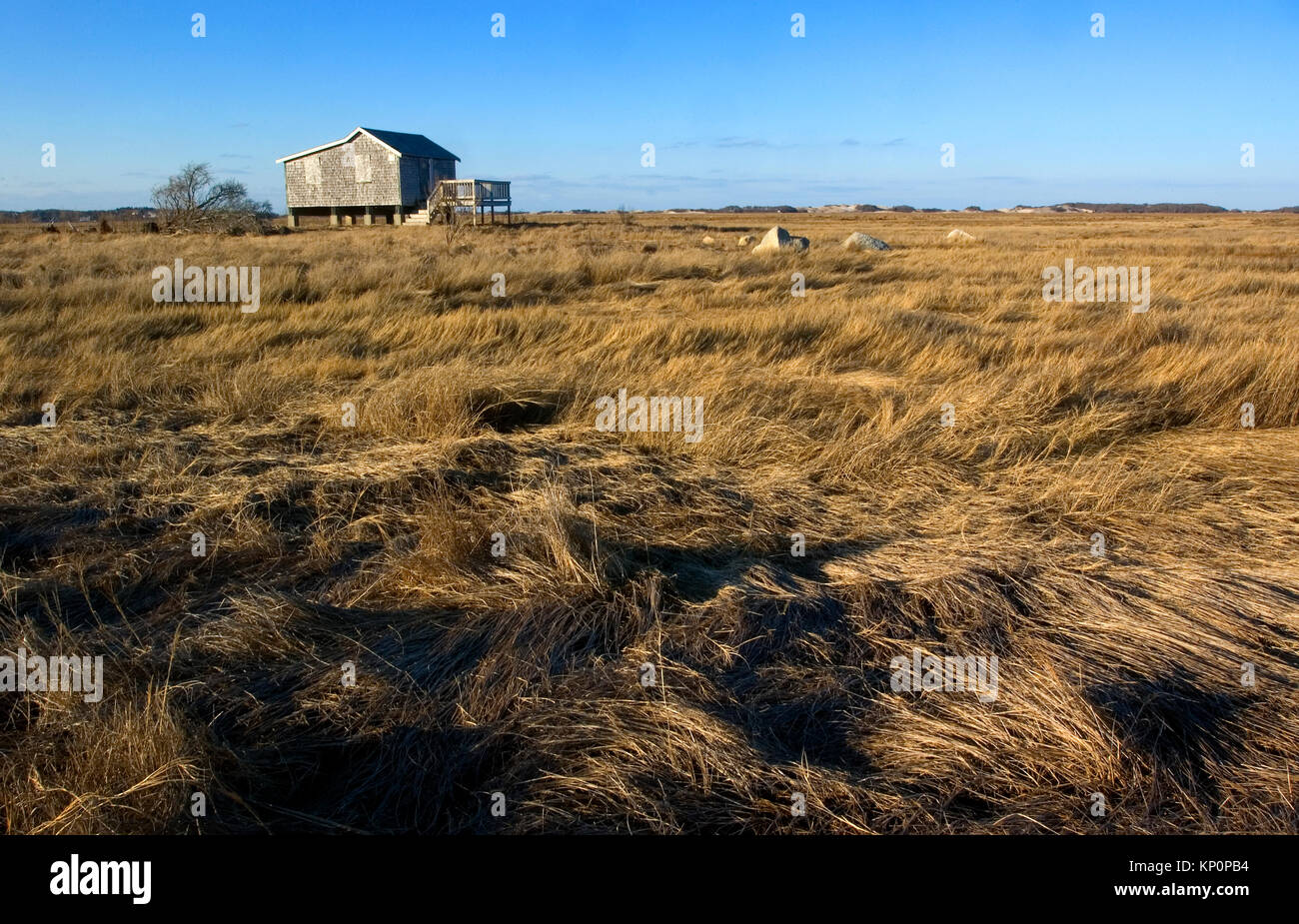 Marsh winter hi-res stock photography and images - Alamy
