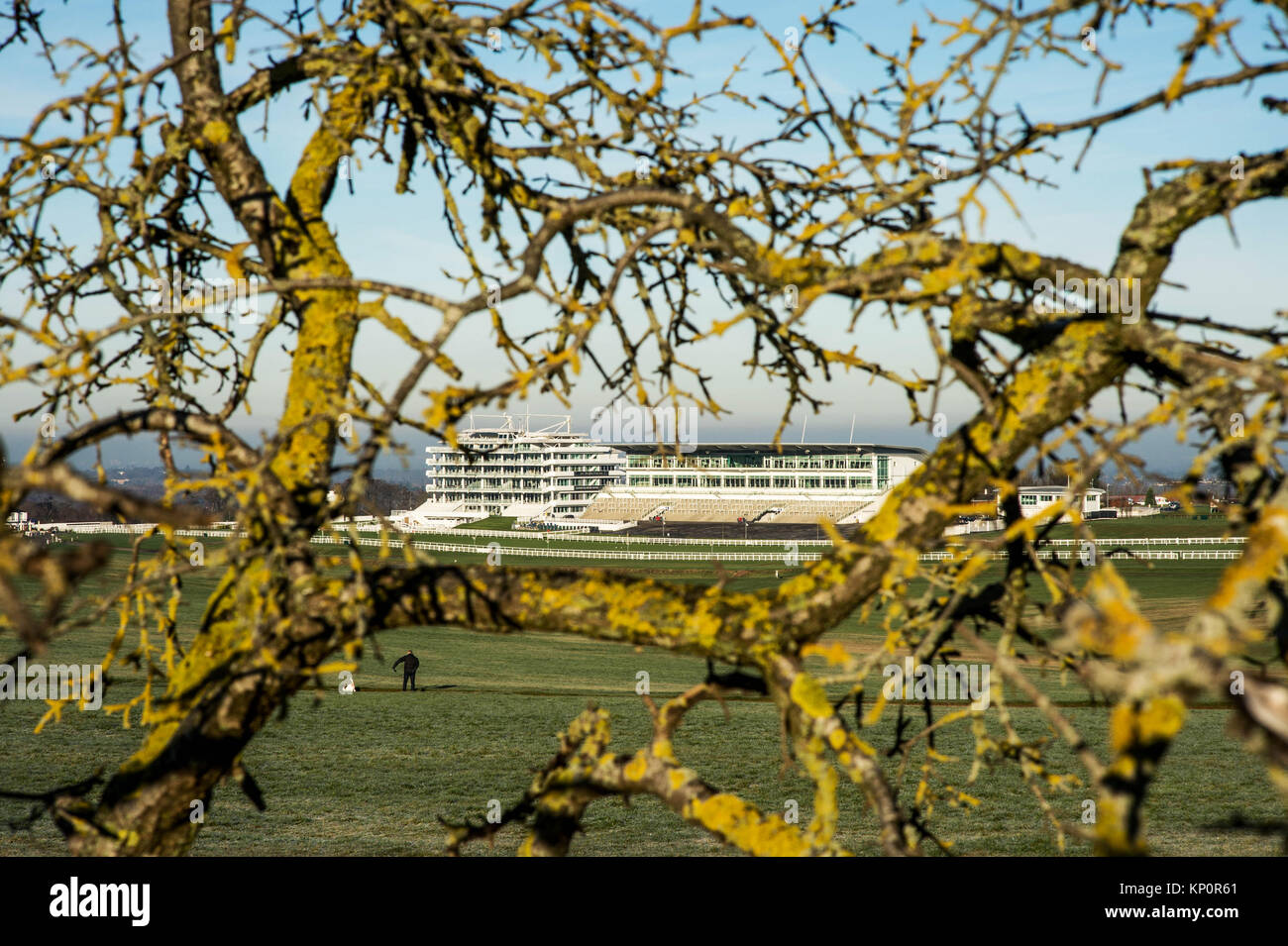 Epson derby tree hi-res stock photography and images - Alamy