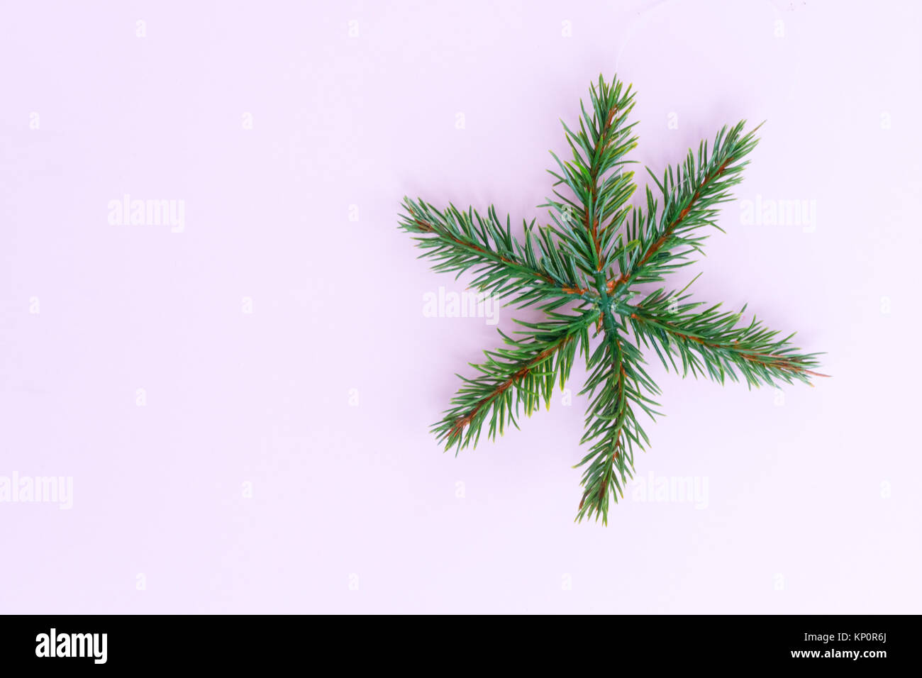 Christmas tree branch Stock Photo - Alamy