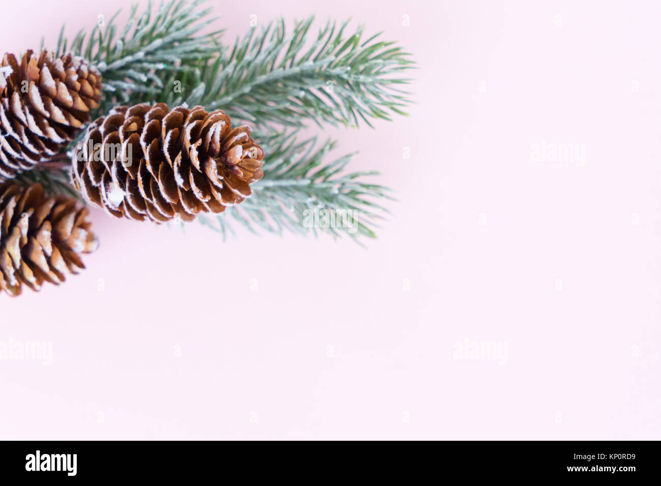 Christmas tree branch Stock Photo - Alamy