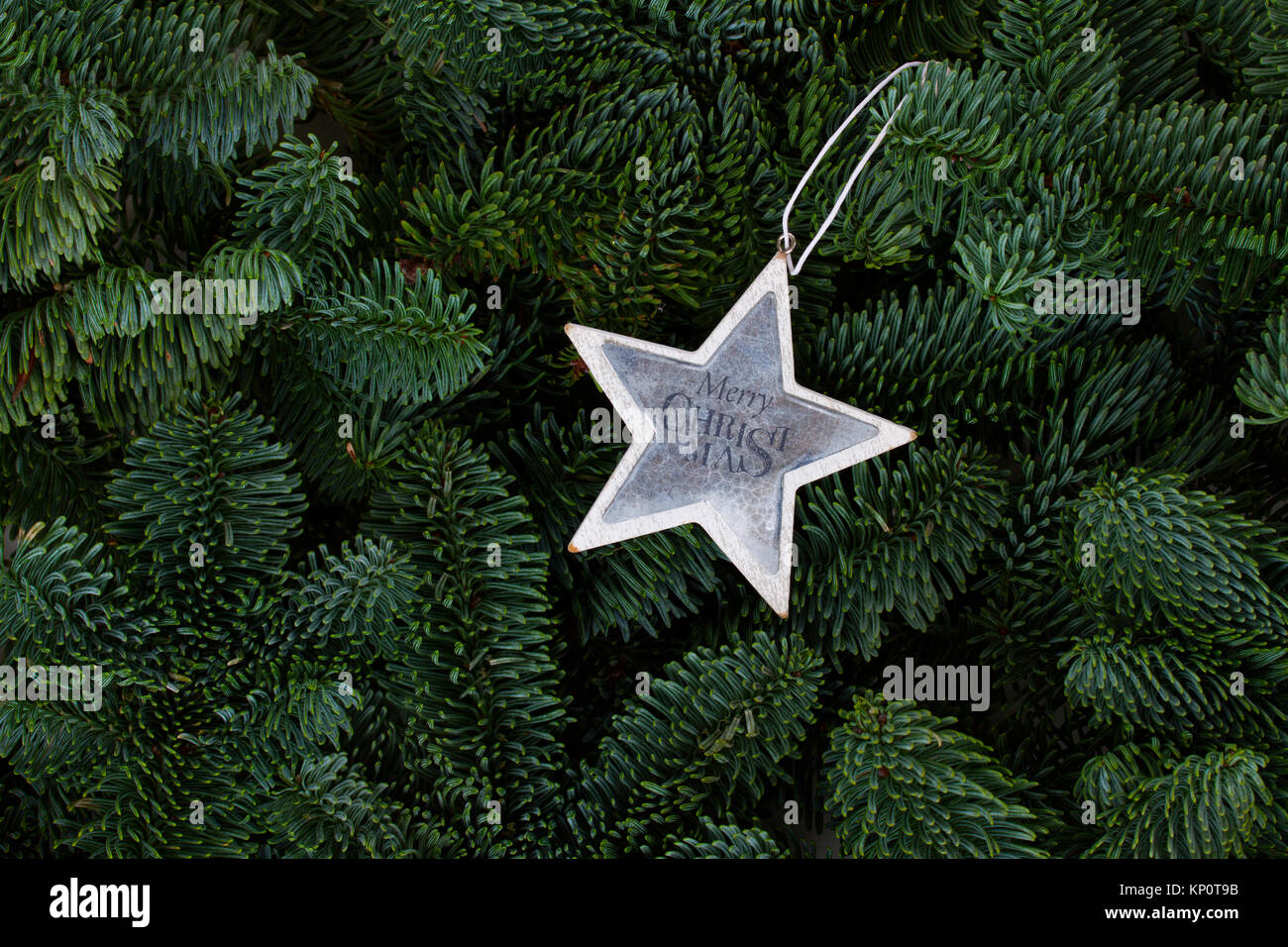 Christmas background with evergreen tree Stock Photo - Alamy