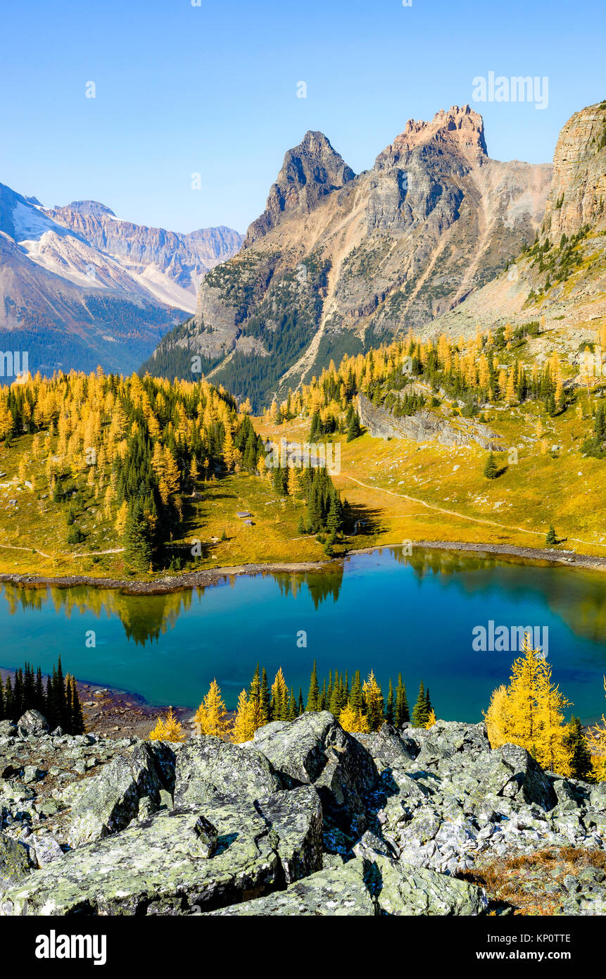 Opabin Plateau, Yoho National Park, British Columbia, Canada Stock ...