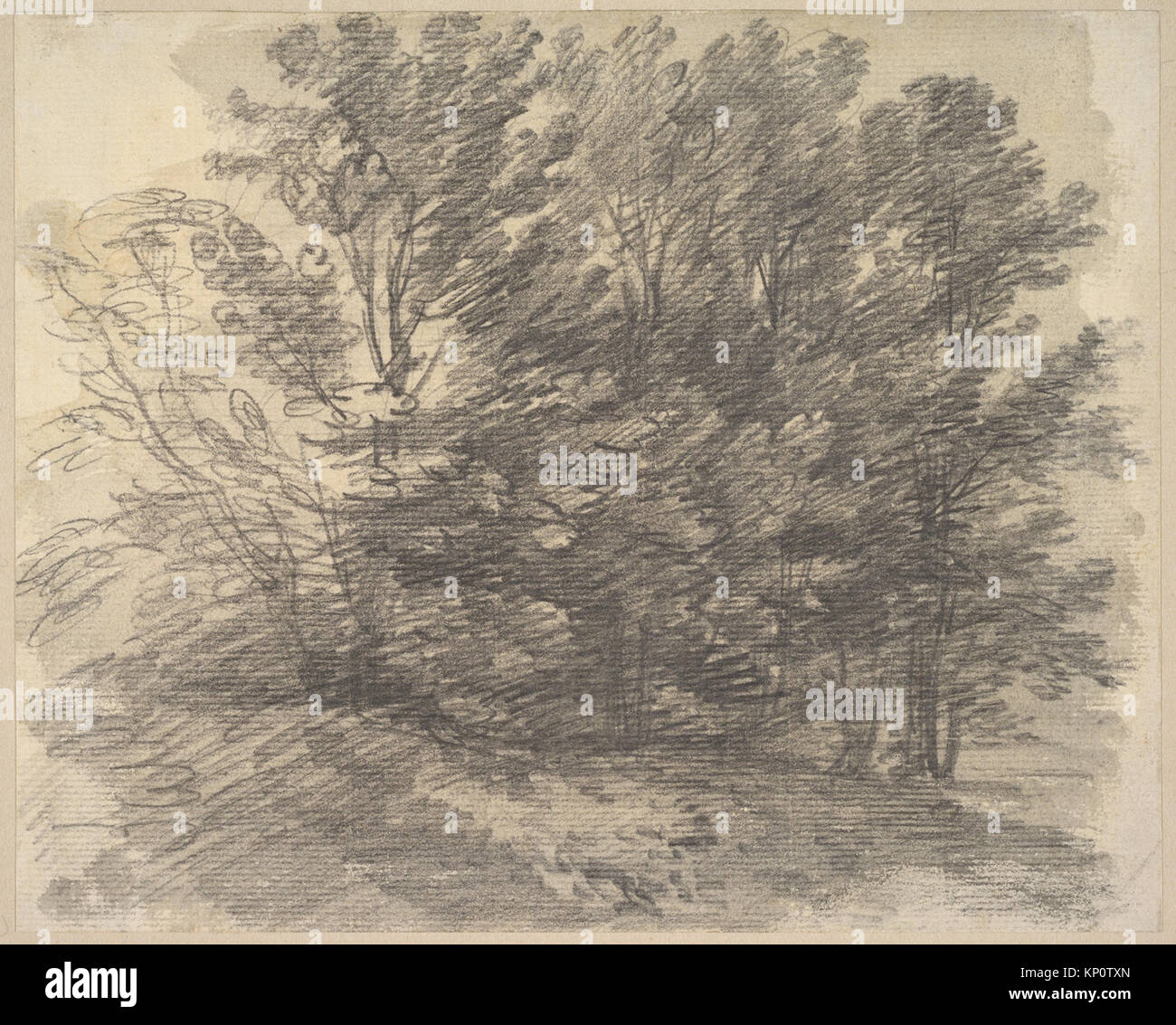 A Clump of Trees MET DP829459 421654 Stock Photo - Alamy