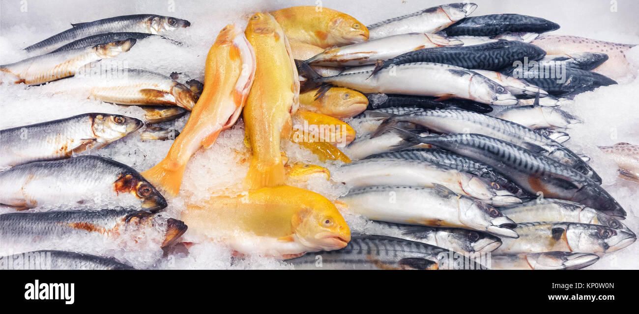 assortment of the fresh fish Stock Photo - Alamy