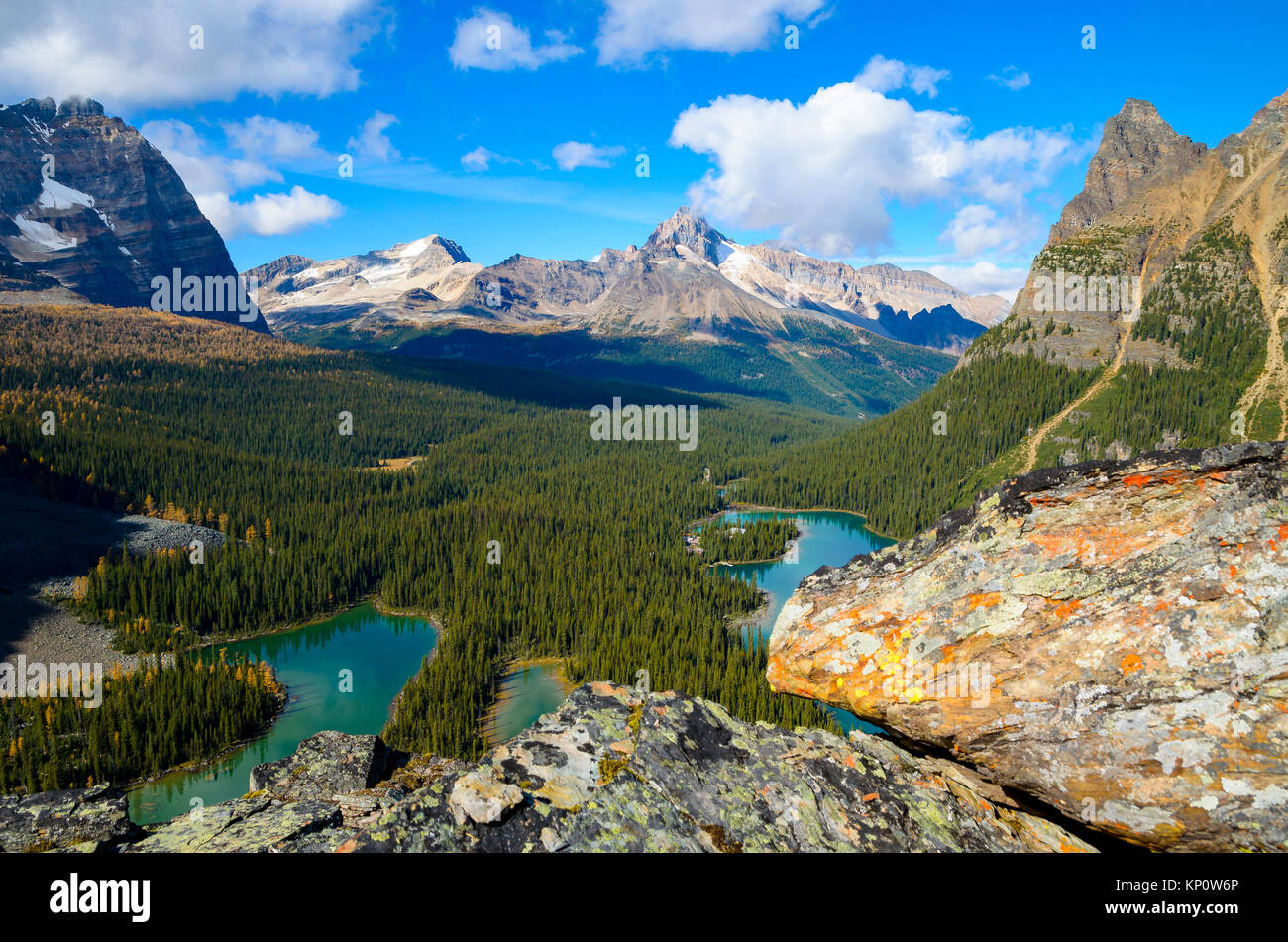 Overlooking Lake O'Hara and Mary Lake, from the Opabin Plateau, , Yoho ...