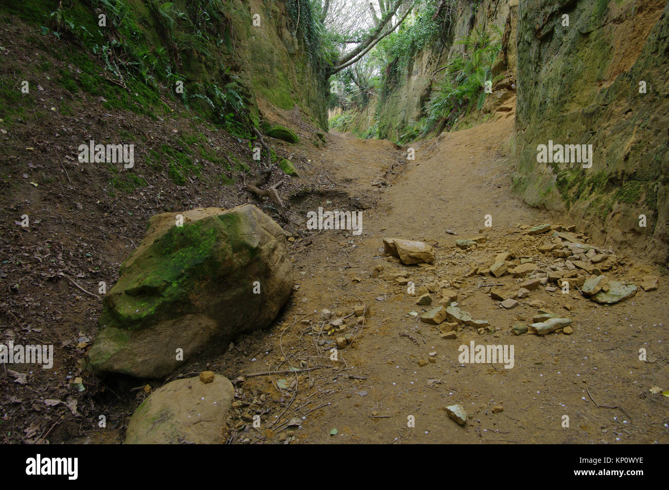 Hell Lane, Symondsbury, Dorset Stock Photo - Alamy