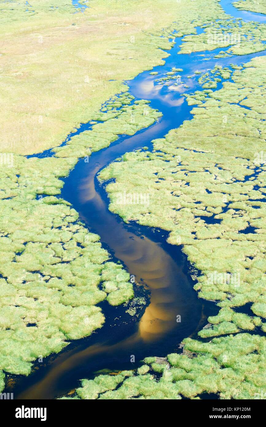 Swamp bed hi-res stock photography and images - Alamy
