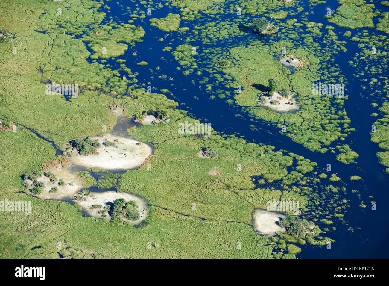 Swamp islands hi-res stock photography and images - Alamy