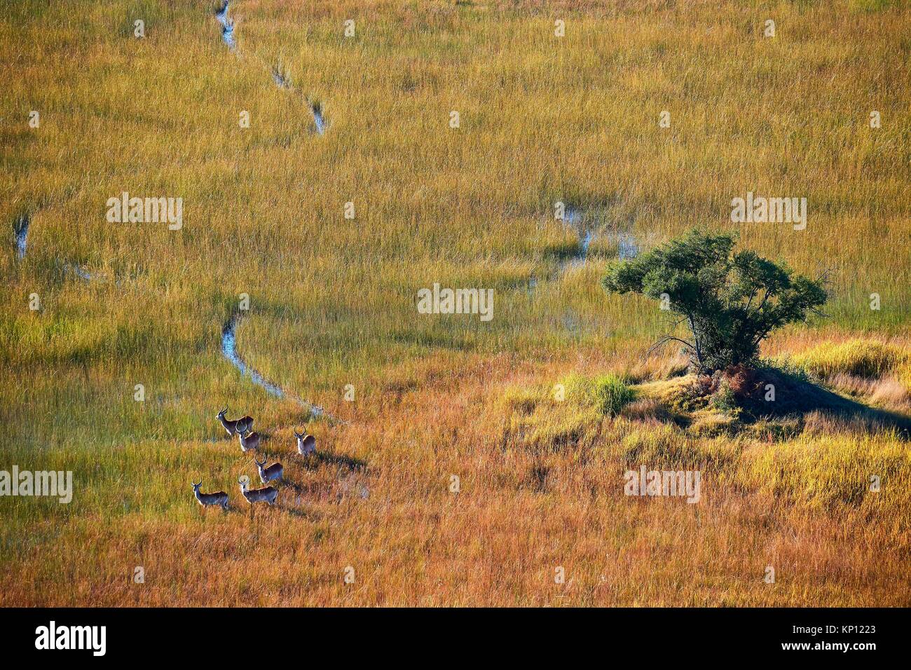 River delta bird's eye hi-res stock photography and images - Alamy