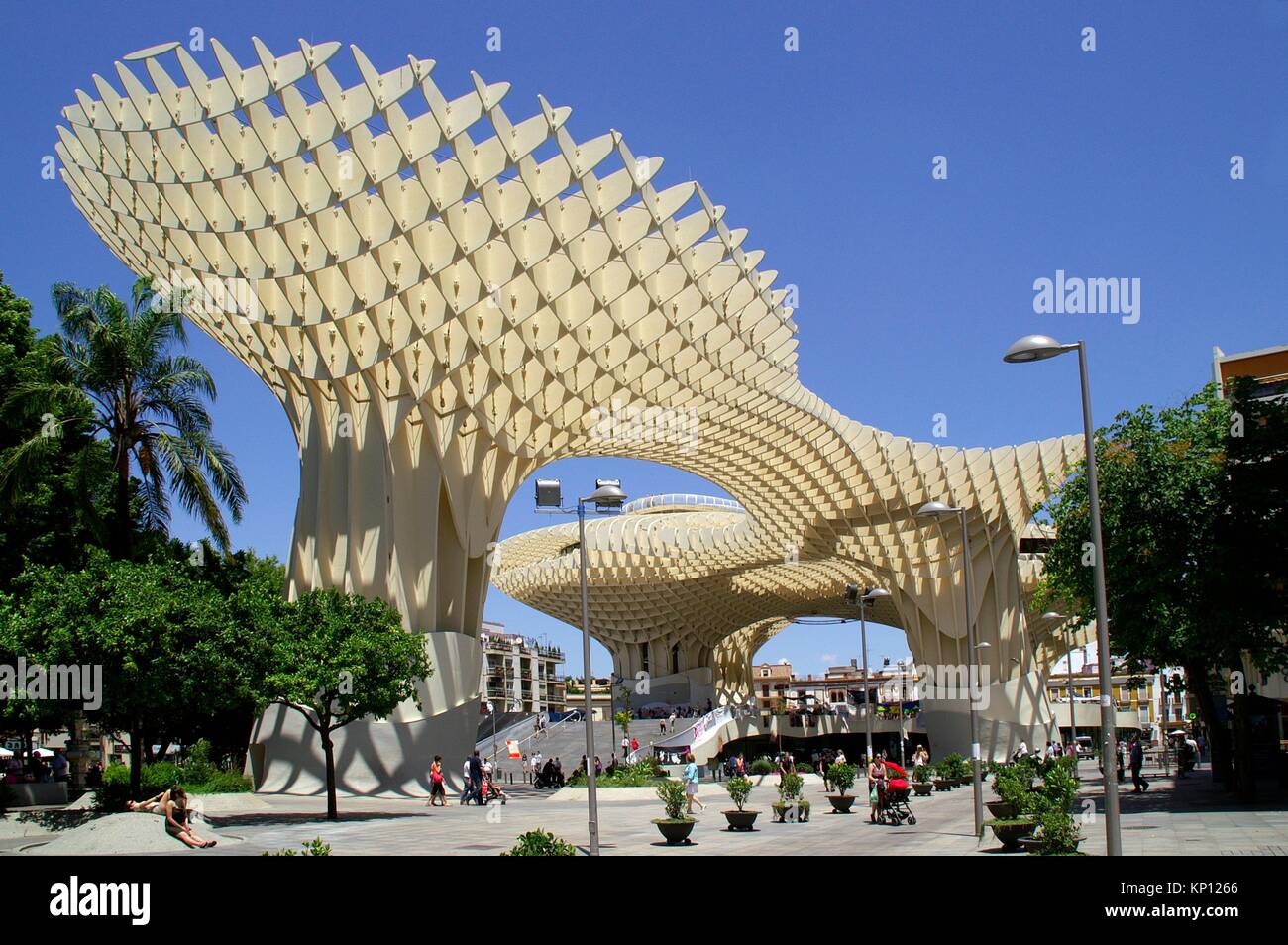 Seta de parasol hi-res stock photography and images - Alamy