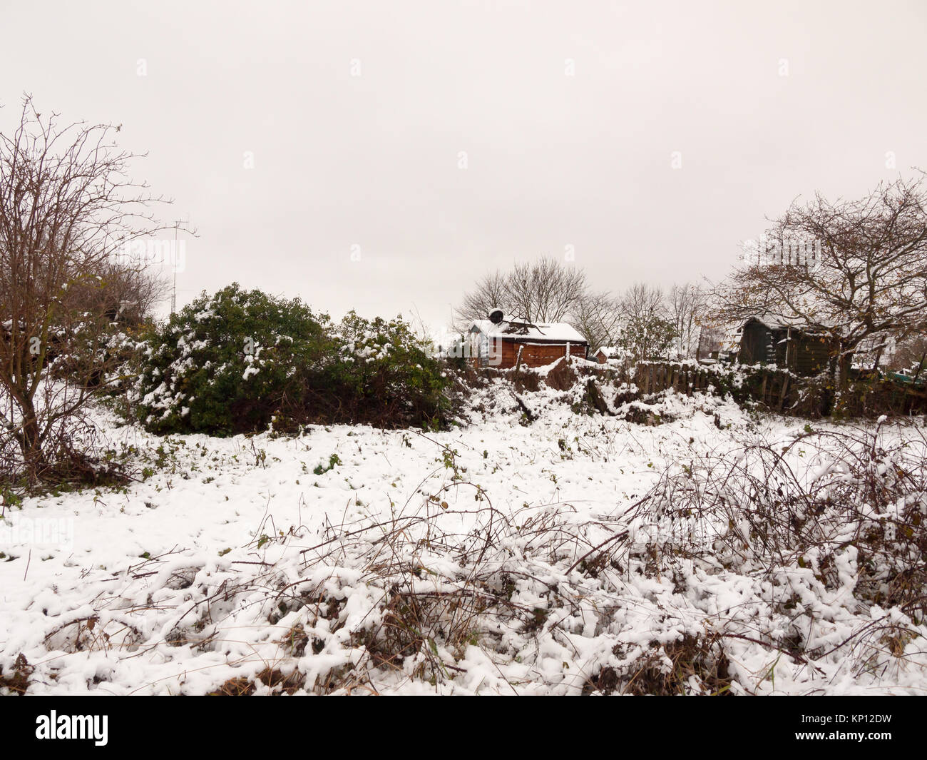 winter snow covered outside country field scene shed covered december ...