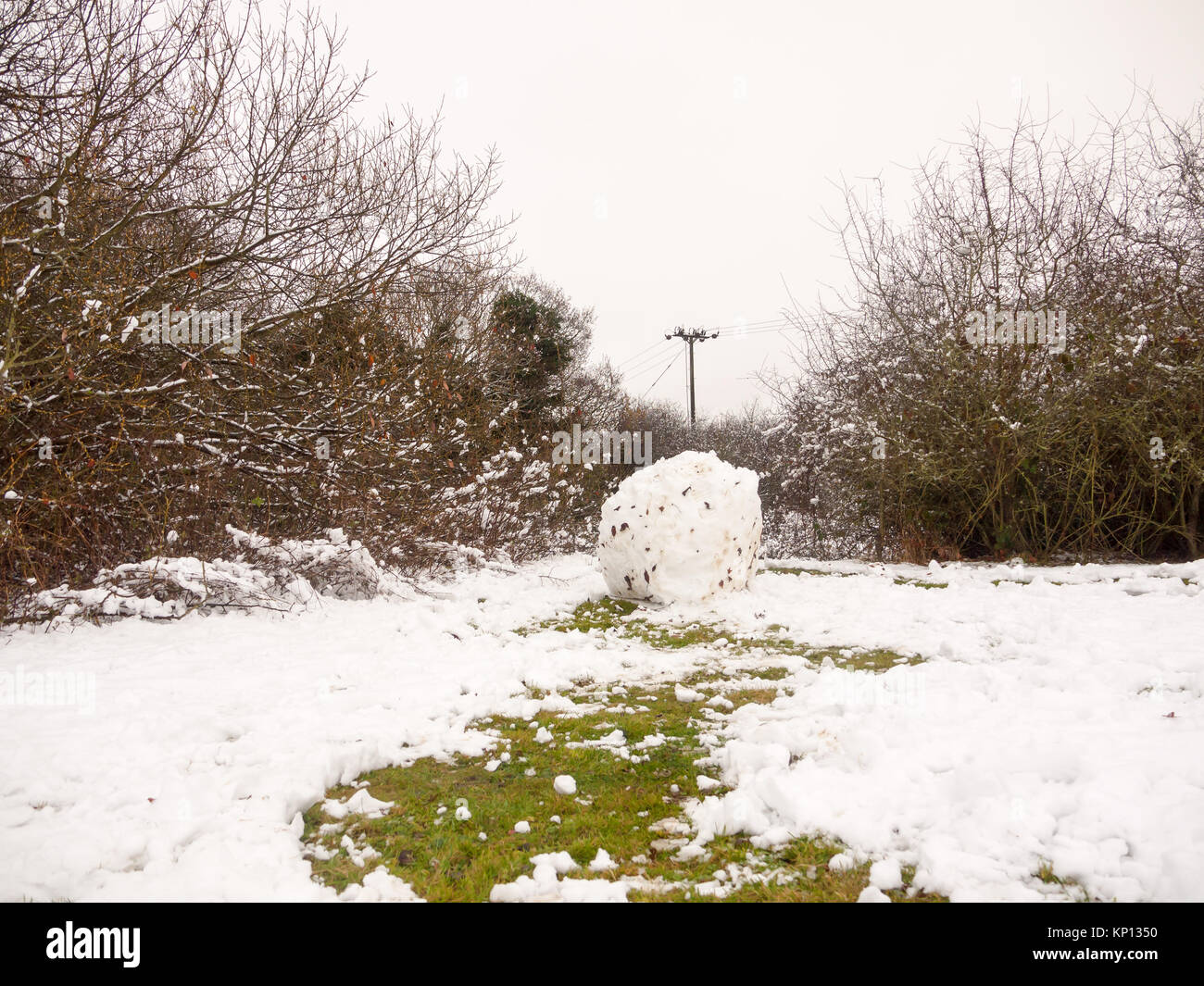 winter rolled up ball of snow trees landscape nature; essex; england ...