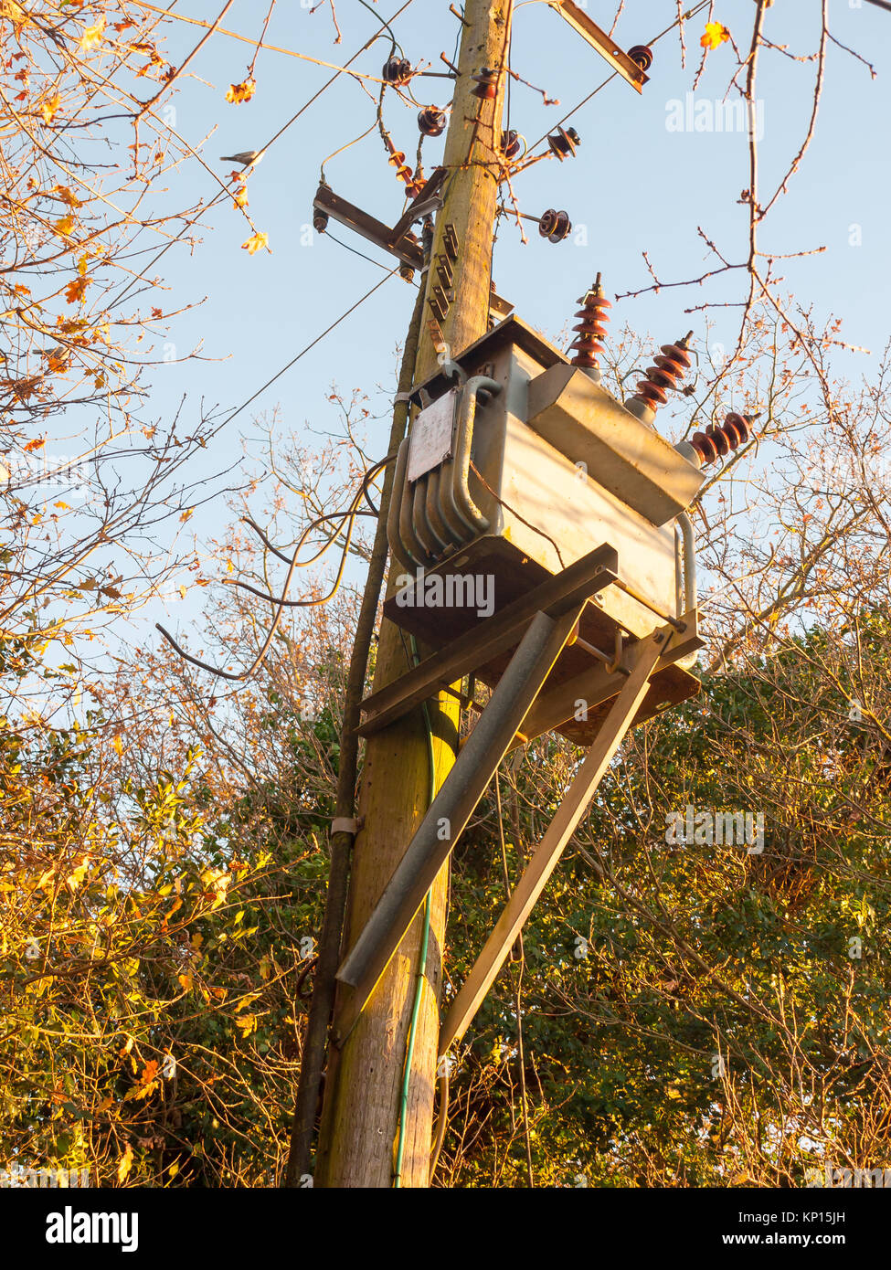 electrical power supply generation metal box wooden post woods; essex ...