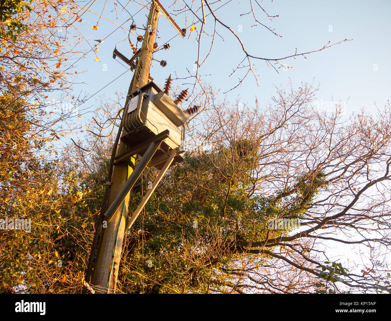 electrical power supply generation metal box wooden post woods; essex ...
