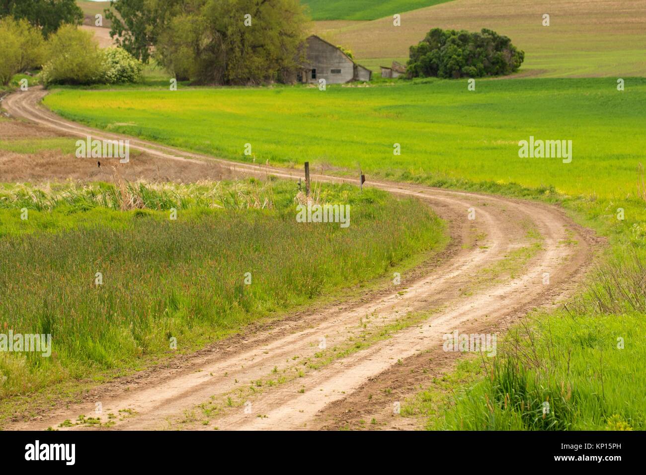 Rural county road hi-res stock photography and images - Alamy